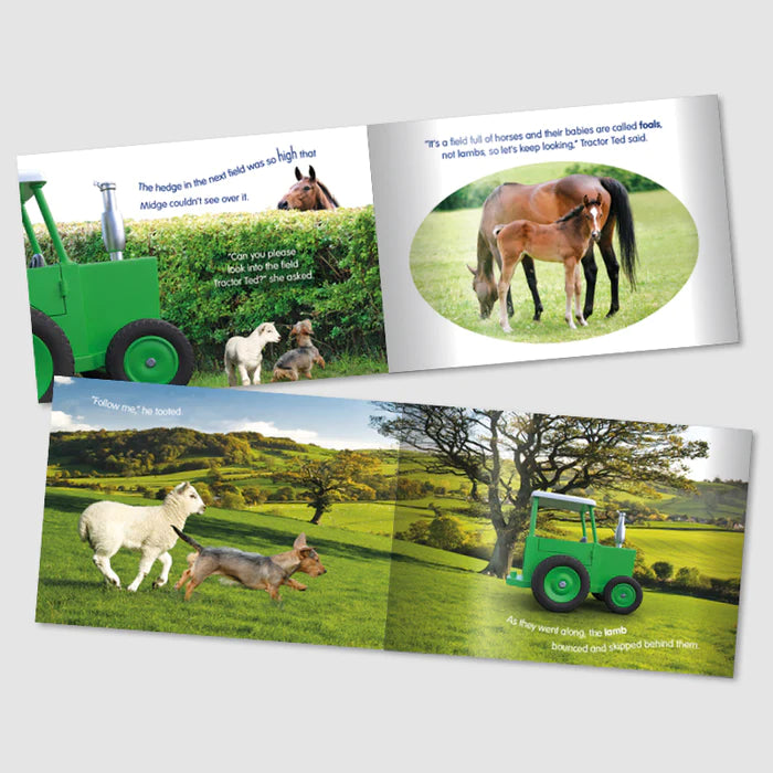 LITTLE LOST LAMB STORYBOOK – McCorry Agri